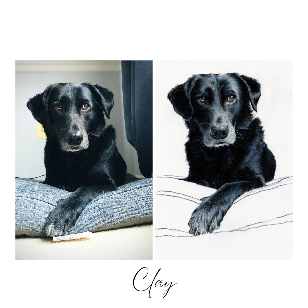 Pet Portrait Commission – K.KHRYSTY FINE ART